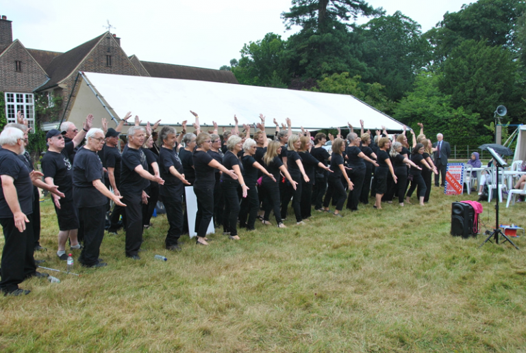 Home Page - Chipstead Village Fair and Flower Show